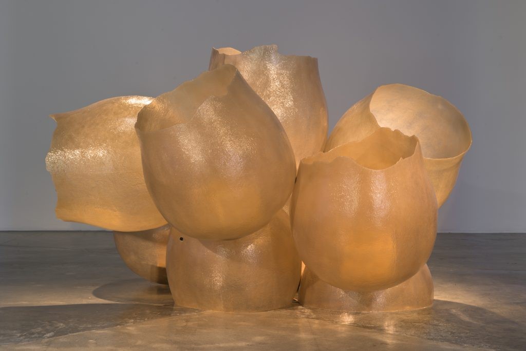 Sampling the Flavors of Phylo-Fusion | Tasting the Tree of Life