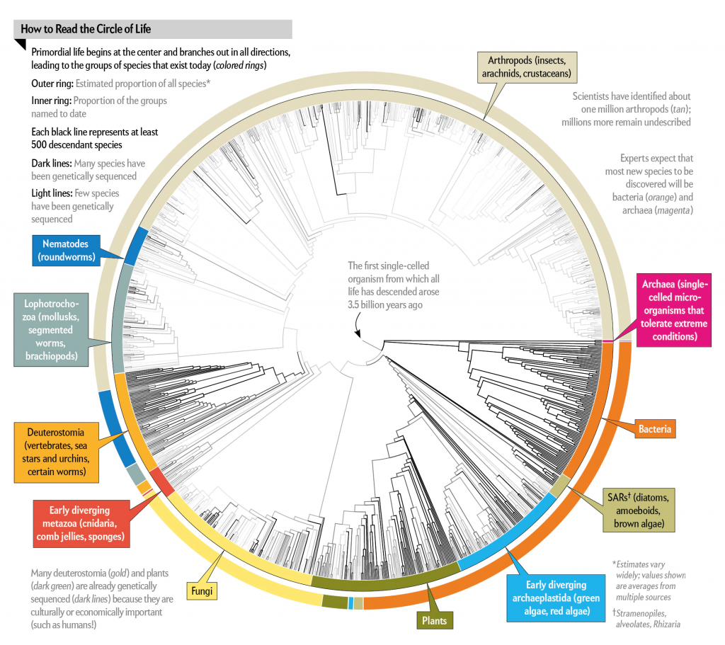 Discovering the Biodiversity on Your Plate | Tasting the Tree of Life