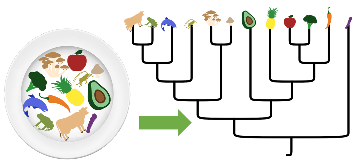 About the Tree of Life | Tasting the Tree of Life